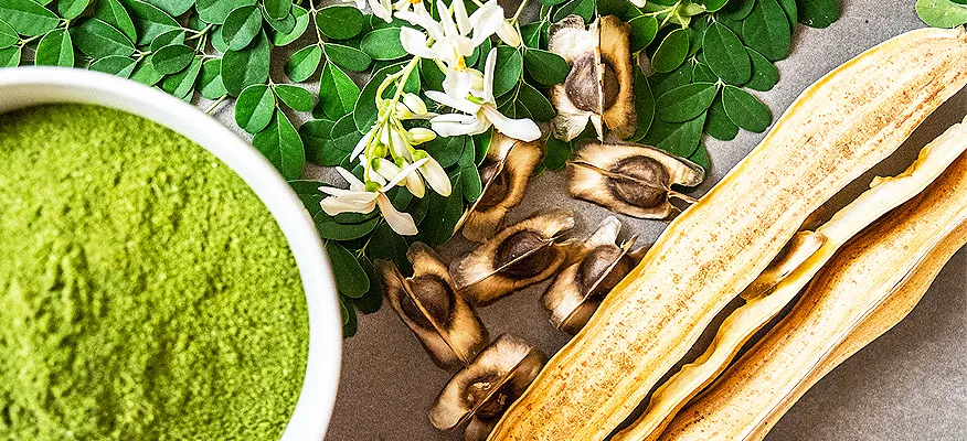 African Medicinal Plants For Diabetes: What Science Says About Moringa ...